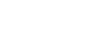 the budzey - RainCity Housing