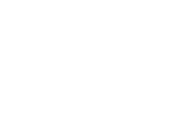 the budzey - RainCity Housing